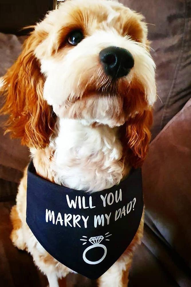 27 Unique Proposal Ideas For Unforgettable Pop The Question | Oh So ...